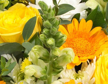 Twiggs & Bows - Florist in Peterborough 01733 565600